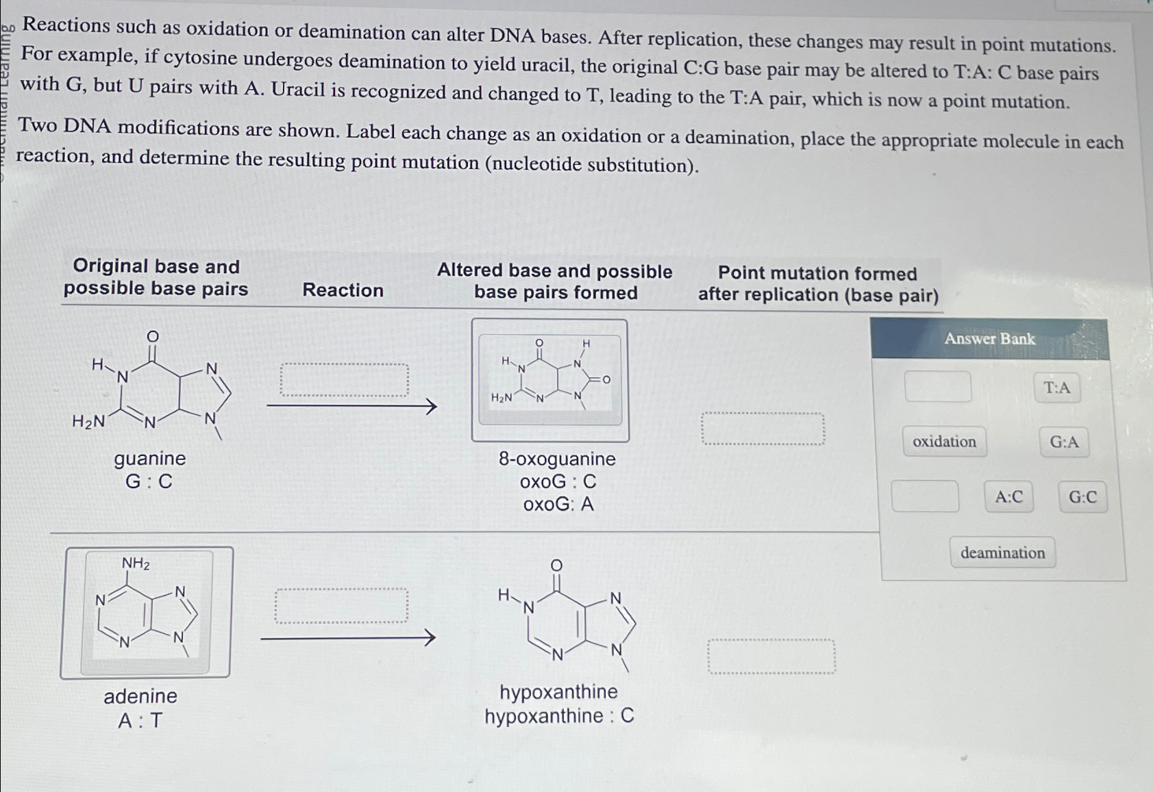Solved Reactions such as oxidation or deamination can alter | Chegg.com