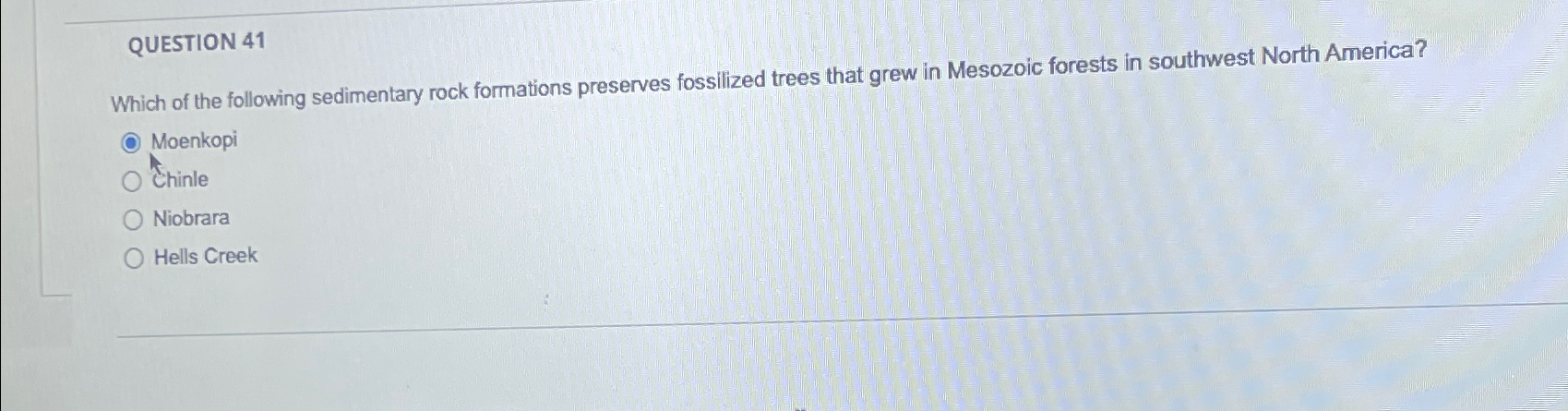 Solved QUESTION 41Which of the following sedimentary rock | Chegg.com