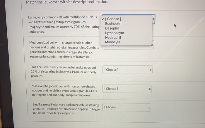 Solved Match the leukocyte with its description/function. | Chegg.com