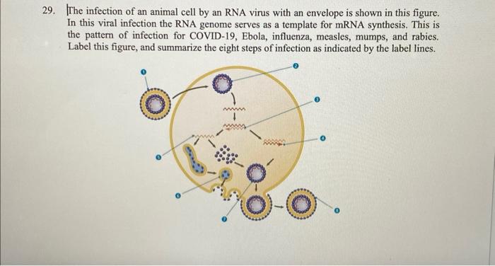 Solved please label and give a short summary of the eight | Chegg.com
