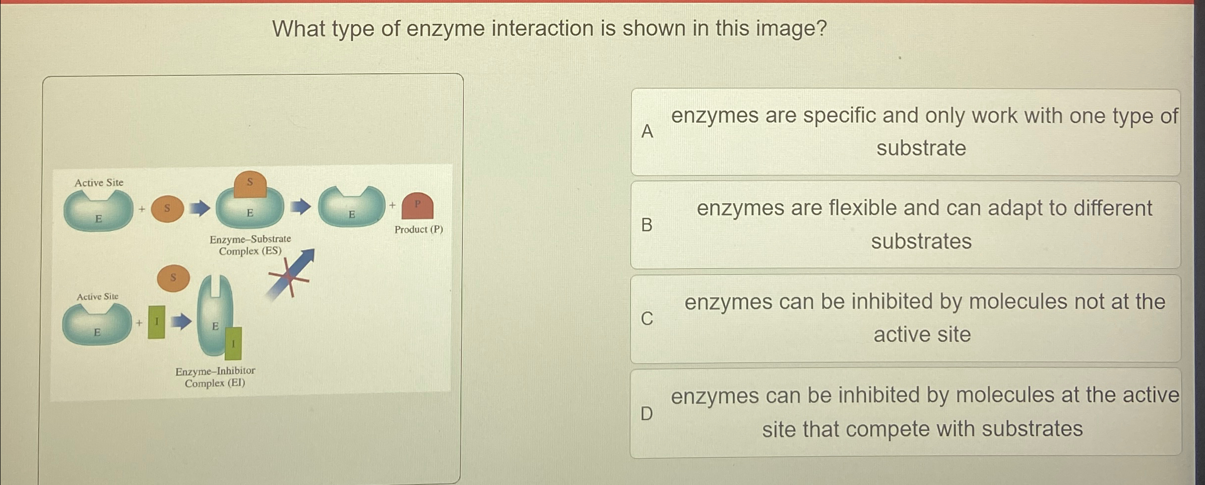 Solved What type of enzyme interaction is shown in this | Chegg.com