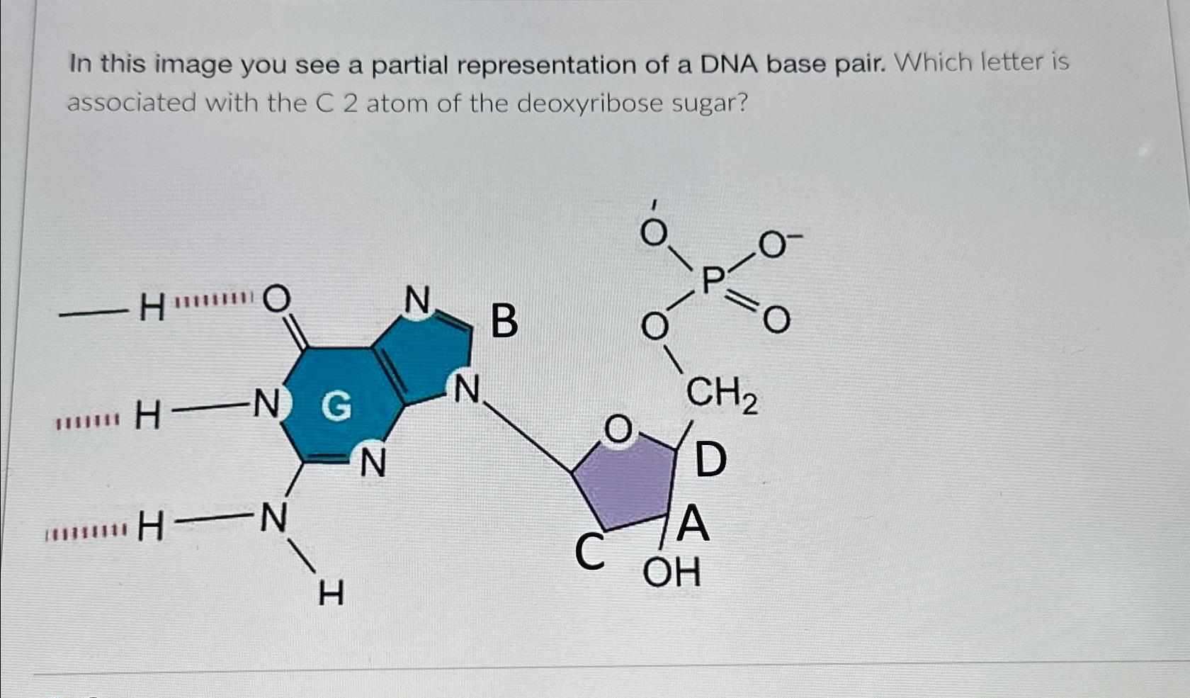 Solved In this image you see a partial representation of a | Chegg.com