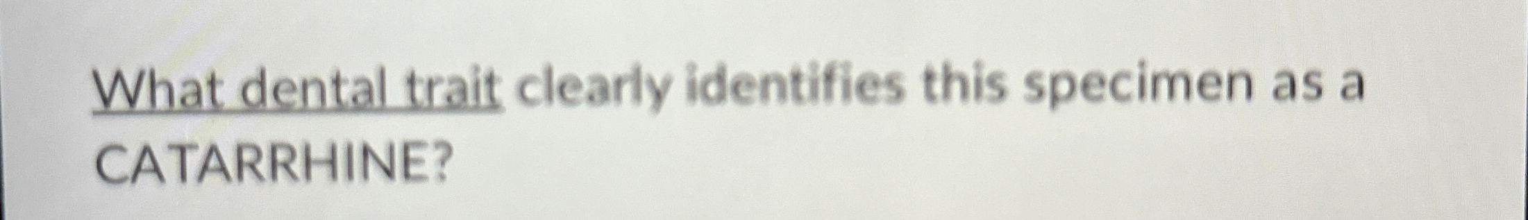Solved What dental trait clearly identifies this specimen as | Chegg.com