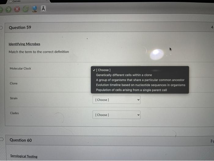 Solved Canvas * GÀ Question 57 4 pts Identifying Microbes | Chegg.com