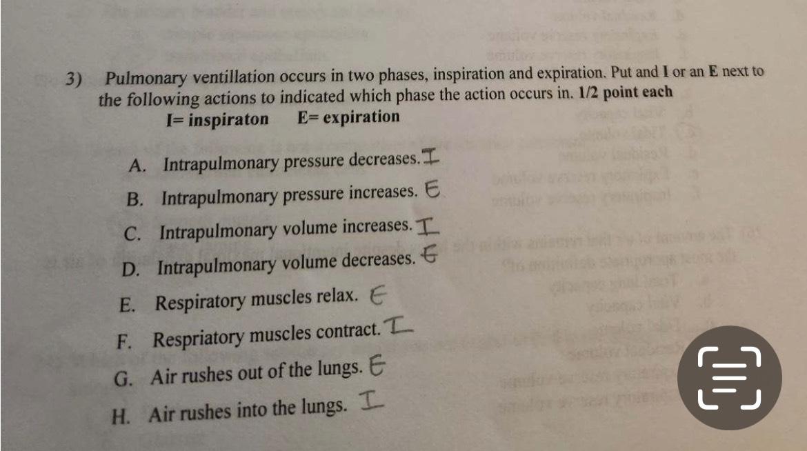 Solved Pulmonary ventillation occurs in two phases, | Chegg.com