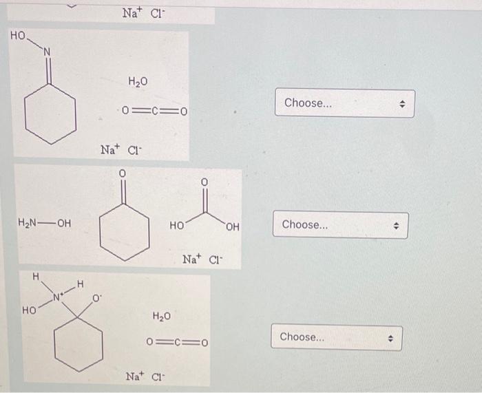 Solved Match each set of structures to its place in the | Chegg.com