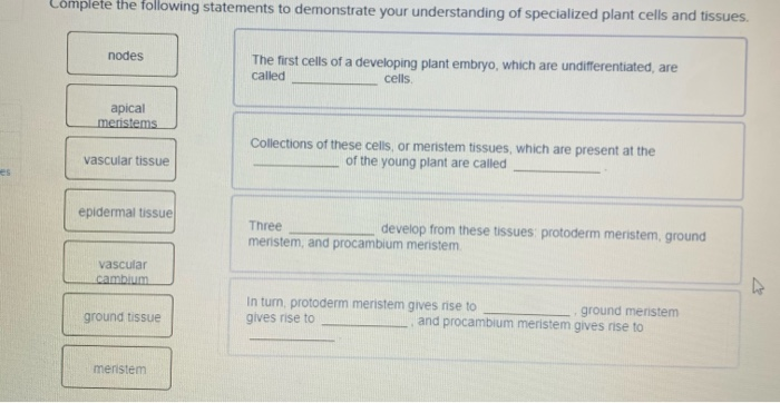 Solved Complete the following statements to demonstrate your | Chegg.com