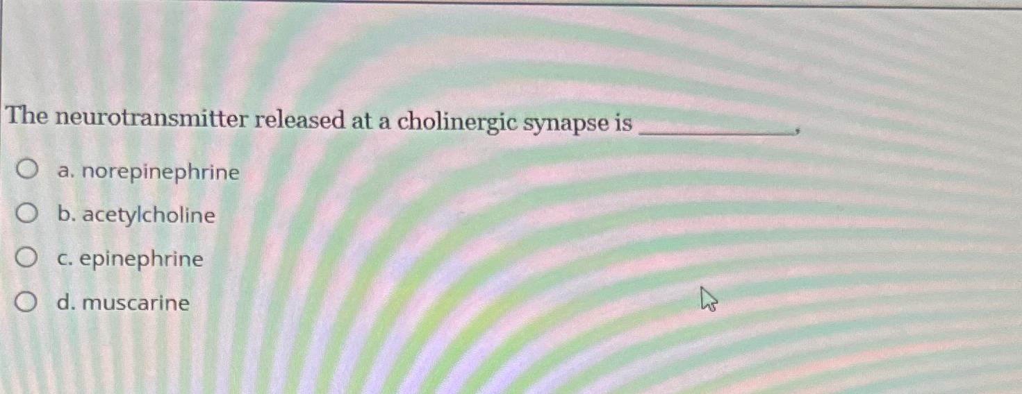 Solved The neurotransmitter released at a cholinergic | Chegg.com