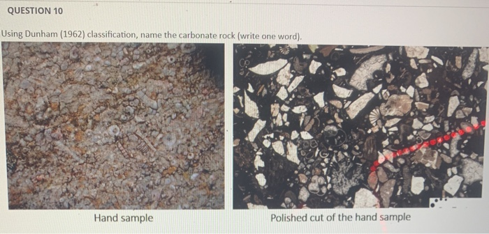 Solved Using Dunham (1962) classification, name the | Chegg.com