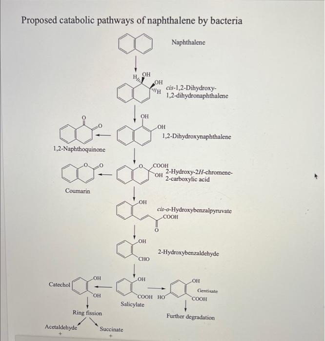 Solved Proposed catabolic pathways of naphthalene by | Chegg.com