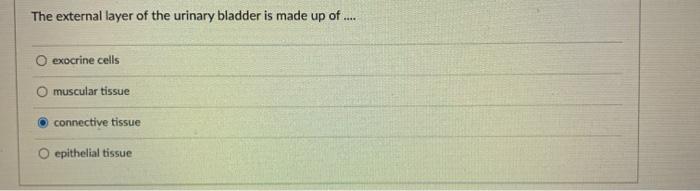 Solved Trigon is located .... in the inner layer of the | Chegg.com