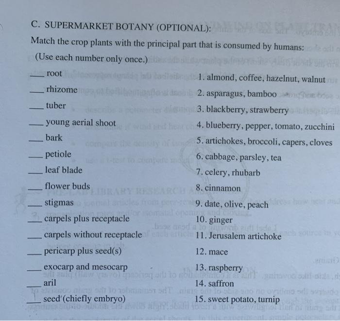 Solved C. SUPERMARKET BOTANY (OPTIONAL): Match the crop | Chegg.com