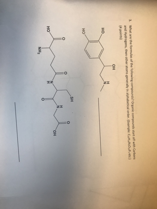 Solved po он HO НО HO NH, & Circle and be all the functional | Chegg.com