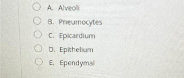 Solved In the imarra holnins "In" etande for A. Alveoli B. | Chegg.com