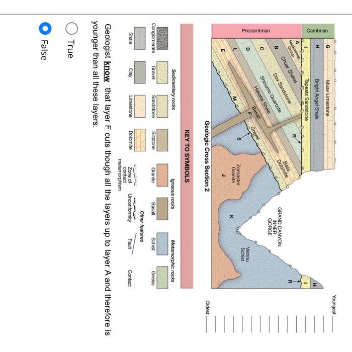 Solved What is the correct sequence of the 1st three oldest | Chegg.com