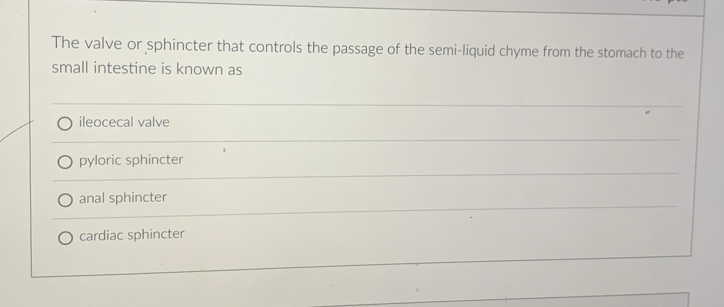 Solved The valve or sphincter that controls the passage of | Chegg.com
