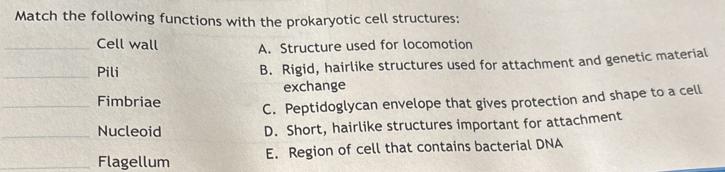 [Solved]: Match the following functions with the prokaryotic