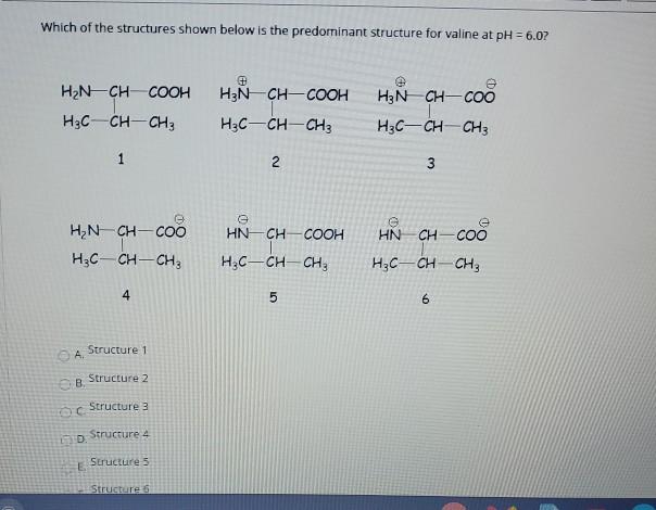 Solved Which of the structures shown below is the | Chegg.com