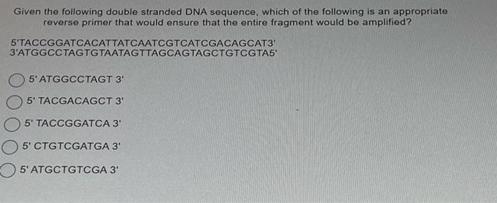 Solved Given the following double stranded DNA sequence, | Chegg.com