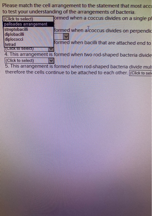 Solved Please match the cell arrangement to the statement | Chegg.com