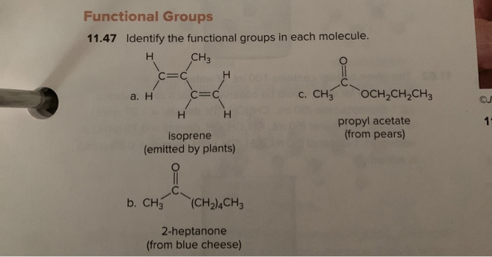 Propyl Functional Group