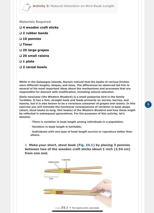 Activity 3: Natural Selection on Bird Beak Length | Chegg.com