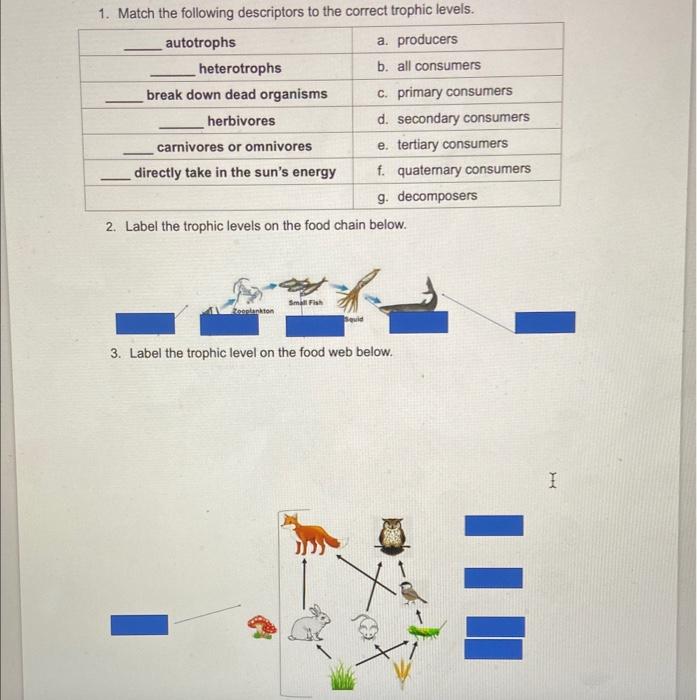 Solved 1. Match the following descriptors to the correct | Chegg.com