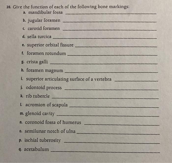 Solved 26. Define the following bone markings and give an | Chegg.com