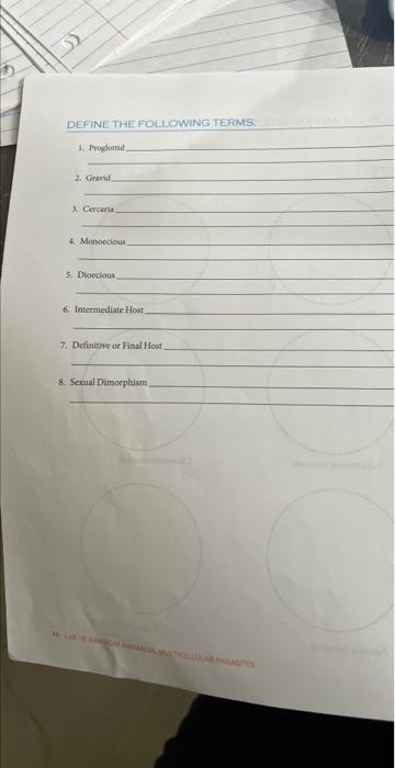 Solved please i need to write a pre lap for this i provide | Chegg.com