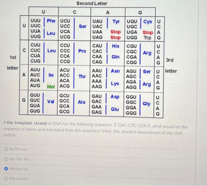 Solved Sonnnel I attar If the template strand of DNA has the | Chegg.com