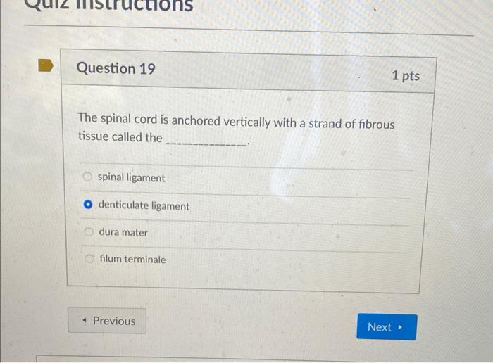 Solved The spinal cord is anchored vertically with a strand | Chegg.com