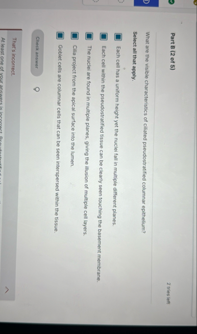 Solved Part B (2 ﻿of 5)2 ﻿tries leftWhat are the visible | Chegg.com
