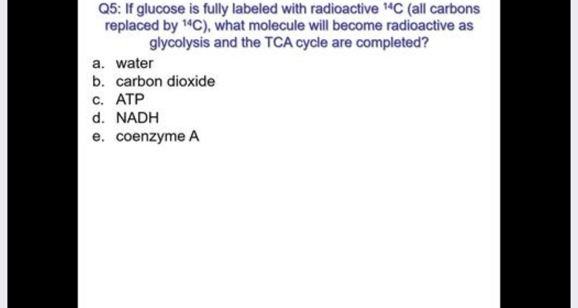 Solved Q5: If glucose is fully labeled with radioactive | Chegg.com