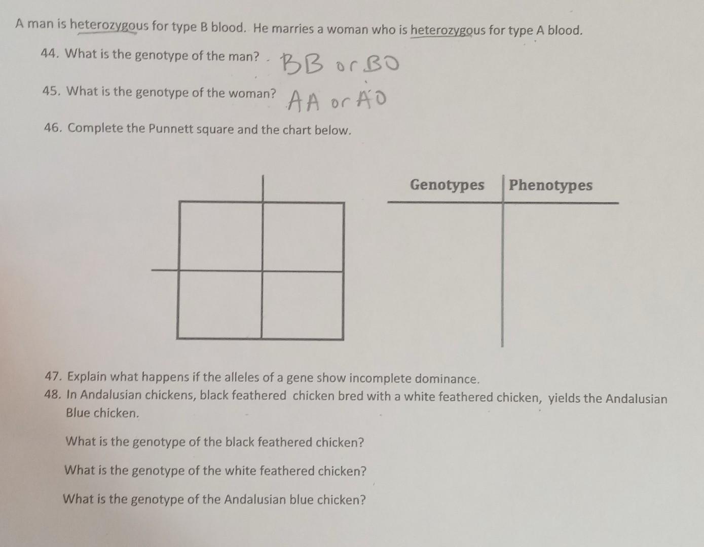 Solved A man is heterozygous for type B blood. He marries a | Chegg.com