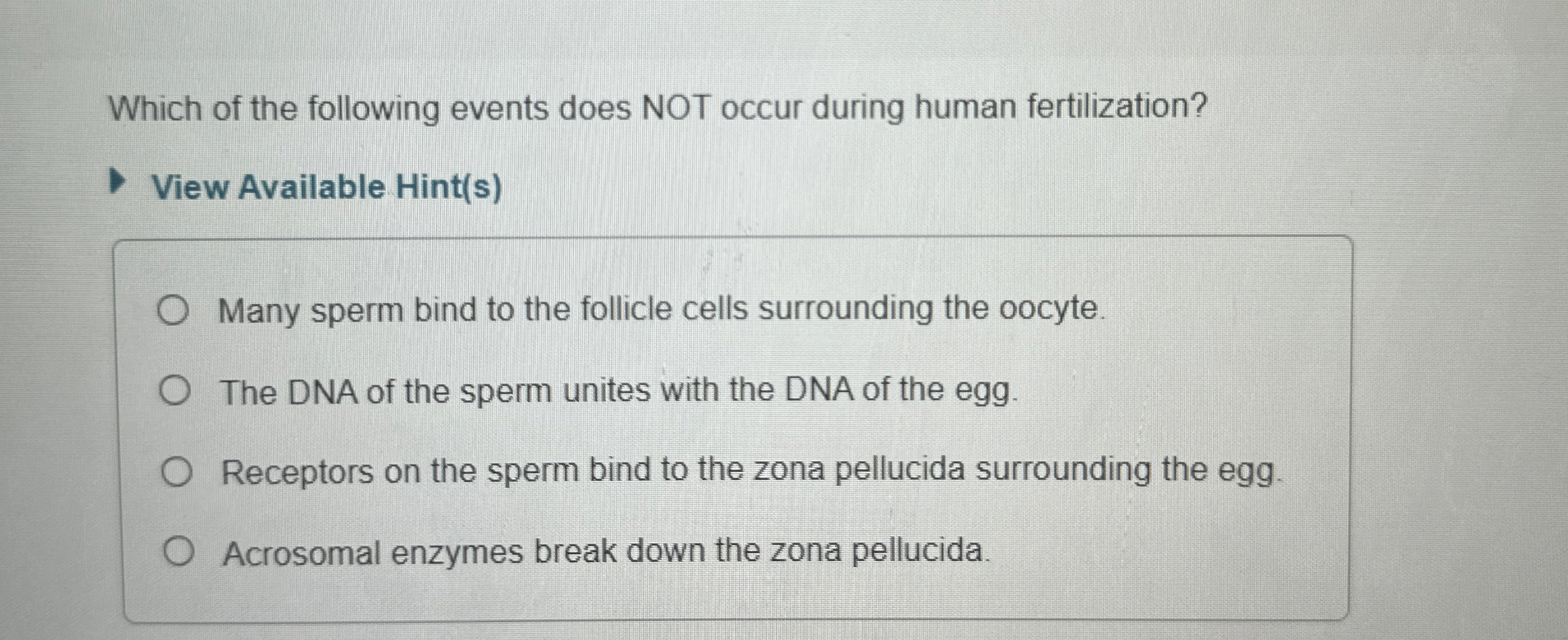 Solved Which of the following events does NOT occur during | Chegg.com