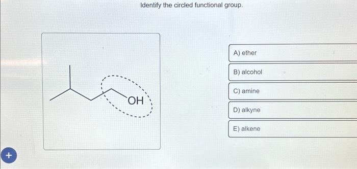 Solved Identify the circled functional group. | Chegg.com