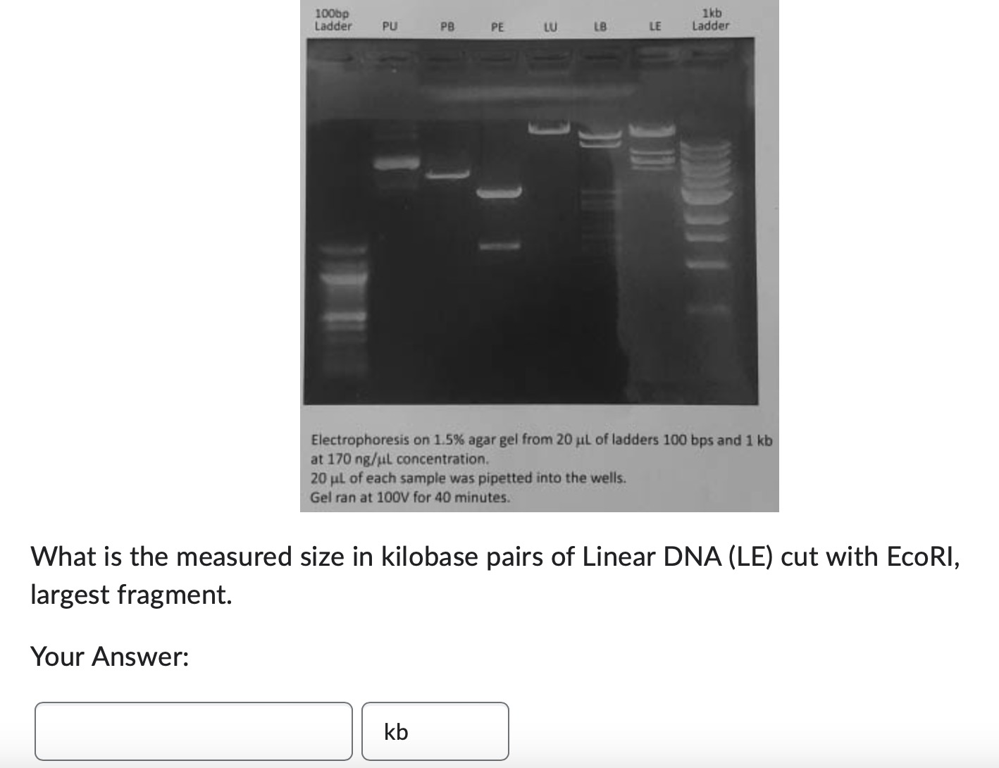 Solved What is the measured size in kilobase pairs of Linear | Chegg.com