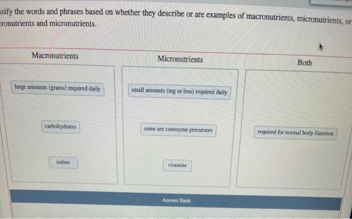 Solved Classify the words and phrases based on whether they | Chegg.com