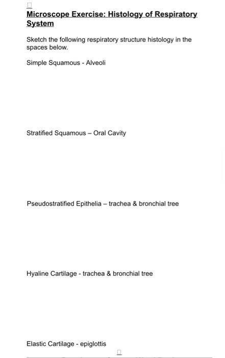 Microscope Exercise: Histology of Respiratory. System | Chegg.com