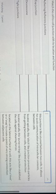 Solved Match the cell to cell junction with its location and | Chegg.com
