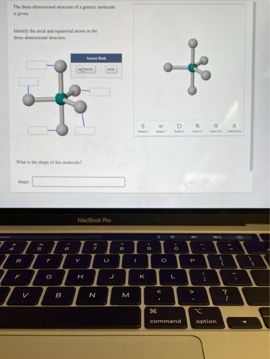 Solved The three dimensional structure of a generic molecule | Chegg.com