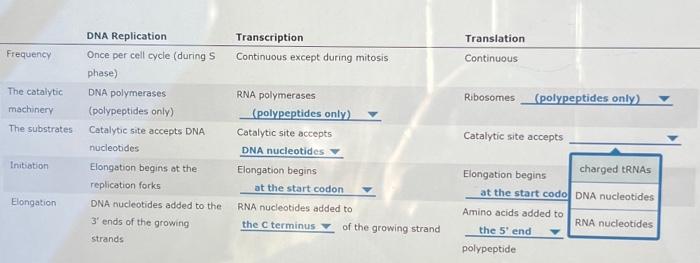 Solved 6. Comparing transcription and translation The | Chegg.com