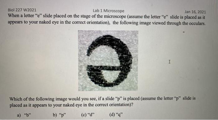 Solved Biol 227 W2021 Lab 1 Microscope Jan 16, 2021 When a | Chegg.com