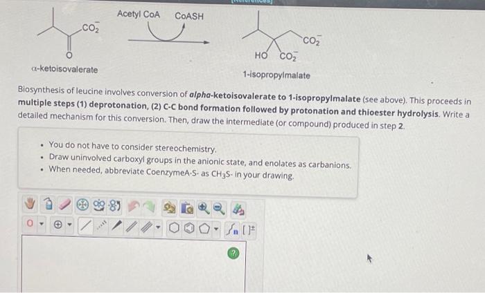 Solved Biosynthesis of leucine involves conversion of | Chegg.com