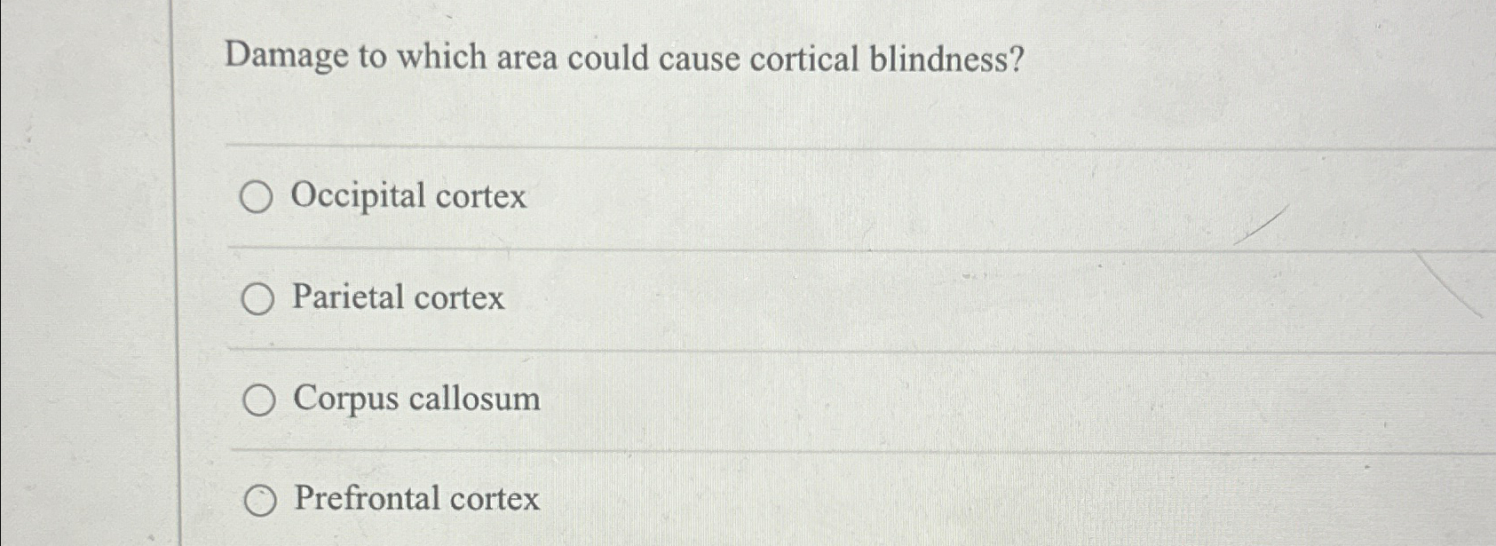 Solved Damage to which area could cause cortical | Chegg.com Solved Damage to which area could cause cortical | Chegg.com