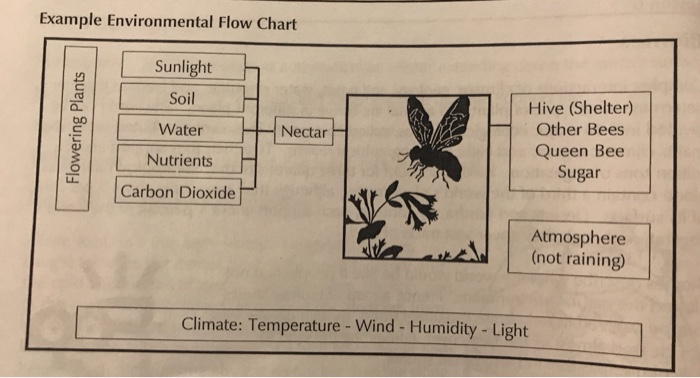 Solved ASSIGNMENT 1 1. On the following page you will find | Chegg.com
