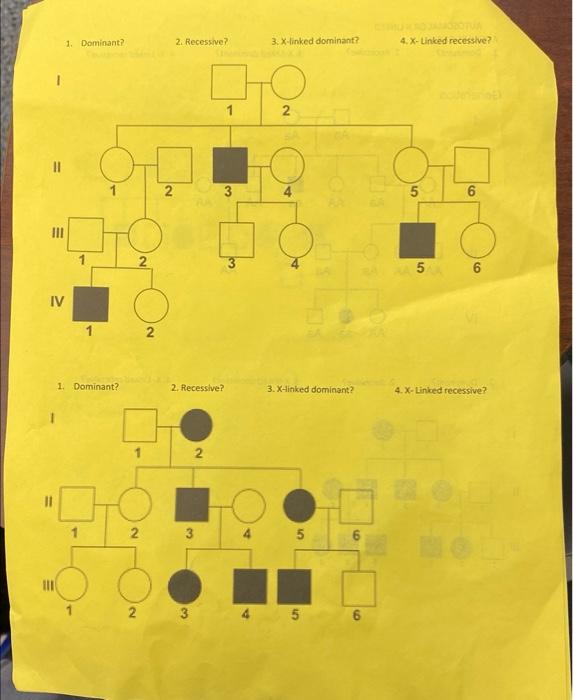 Solved 12. Dominant? 2. Recessive? 3. X-linked dominant? 4. | Chegg.com