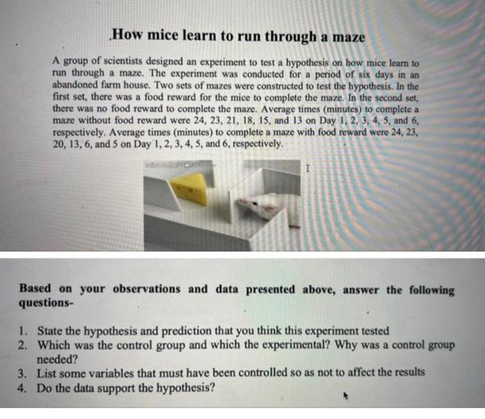 Solved How mice learn to run through a maze A group of | Chegg.com