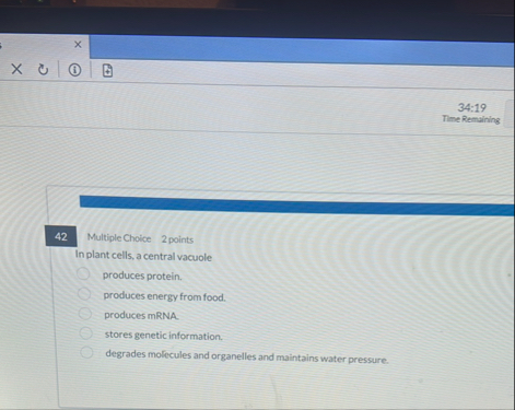 Solved 34:19Time Remuining42Multiple Choice 2 ﻿pointsIn | Chegg.com