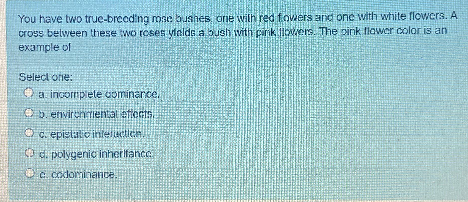 Solved You have two true-breeding rose bushes, one with red | Chegg.com